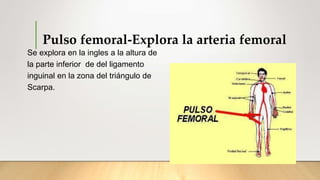 10 VALORACIÓN DE LOS SIGNOS VITALES Y PULSOS PERIFERICOS.ppt