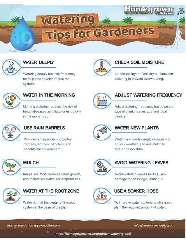 10 Watering Tips for Gardeners - Homegrown Outlet | PDF