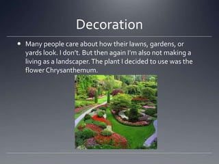 10 Ways We Use Plants | PPTX