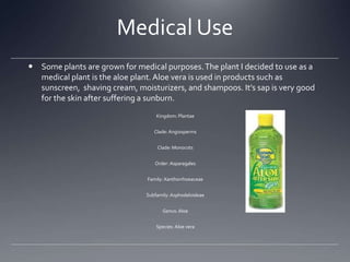 10 Ways We Use Plants | PPTX