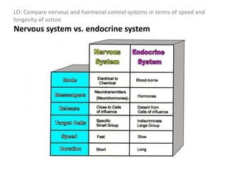 The endocrine system and hormones | PPTX