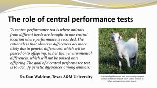 10 years of the Western Maryland Pasture-Based Meat Goat Performance ...