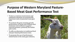 10 years of the Western Maryland Pasture-Based Meat Goat Performance ...