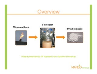 Dissolving the Plastic Problem | PPT