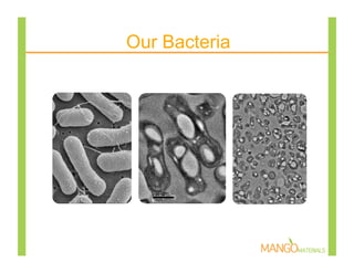 Dissolving the Plastic Problem | PPT