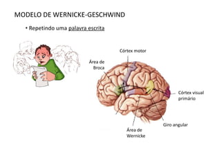 LINGUAGEM E ESPECIALIZAÇÃO HEMISFÉRICA | PDF