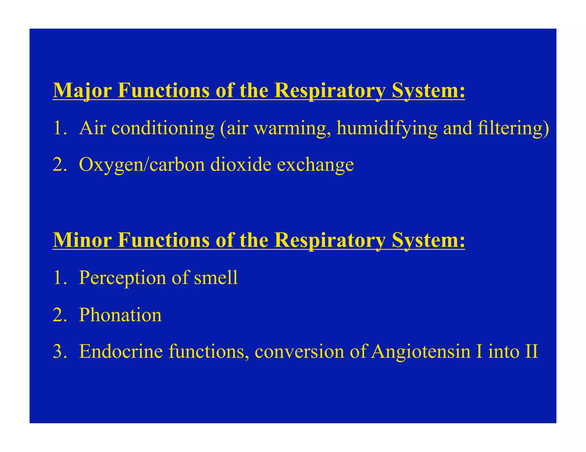 11.10.08(d): Histology of the Respiratory Tract | PDF