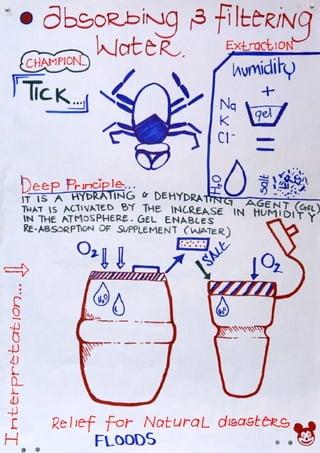 #11 Absorbing and Filtering Water | PDF