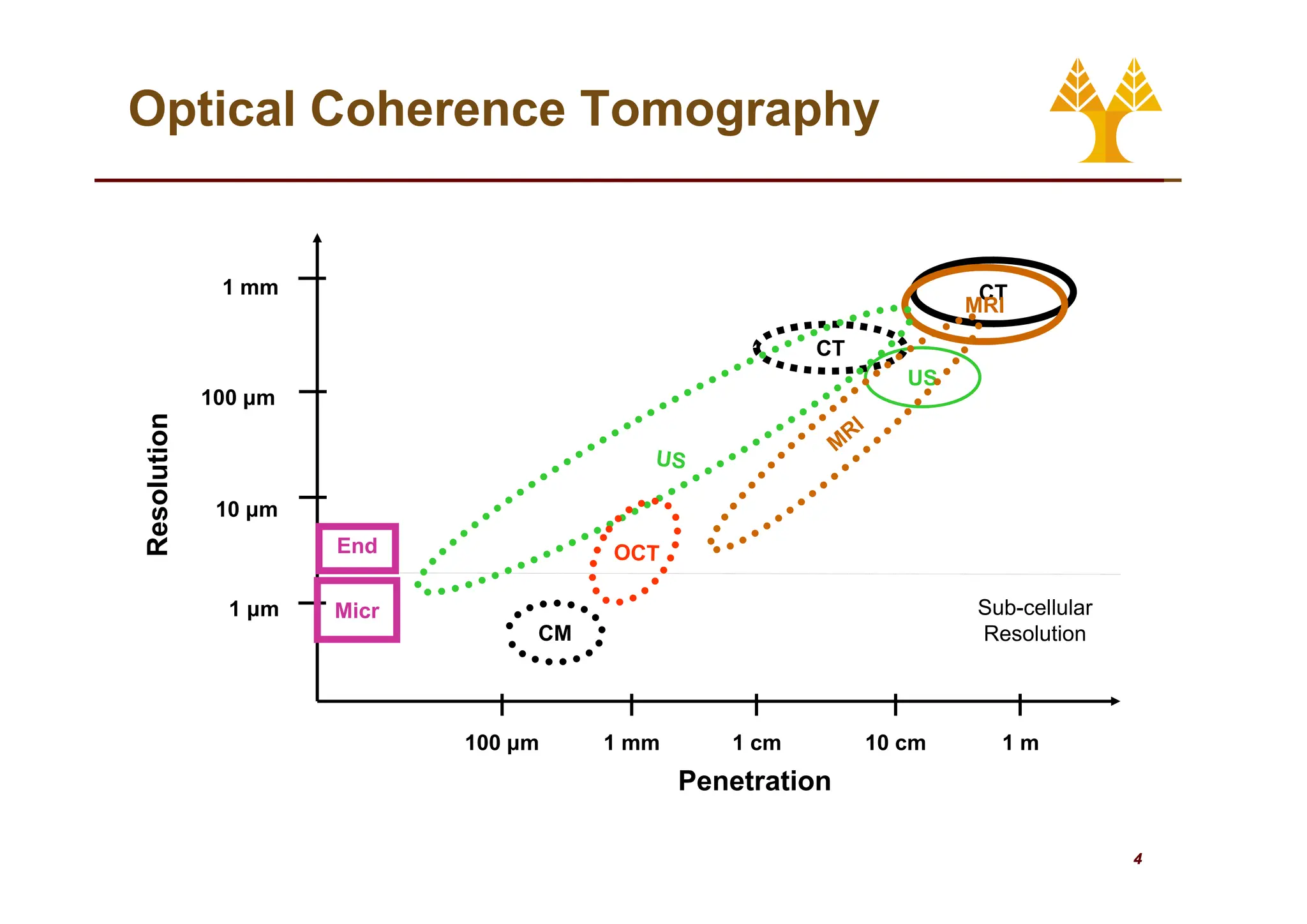 Optical coherence tomography powerpoint presentation | PDF