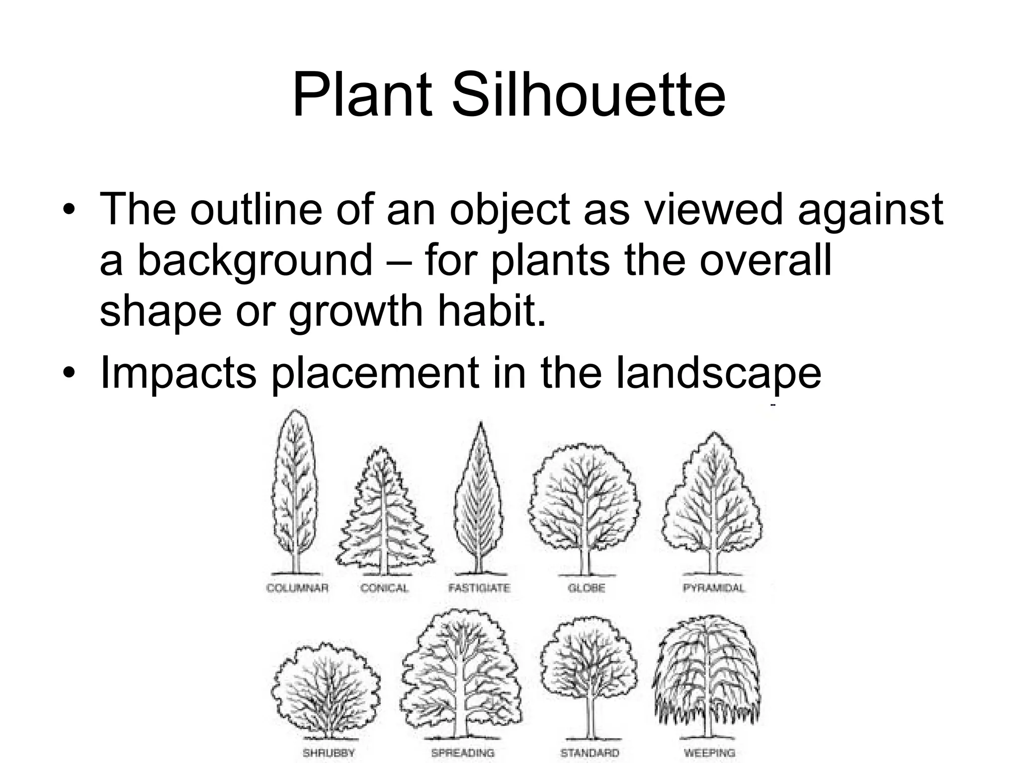 11 12 Landscape Plant Selection | PPT