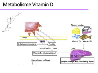 Biokimia Gizi 12: Metabolisme Vitamin 2024.pptx