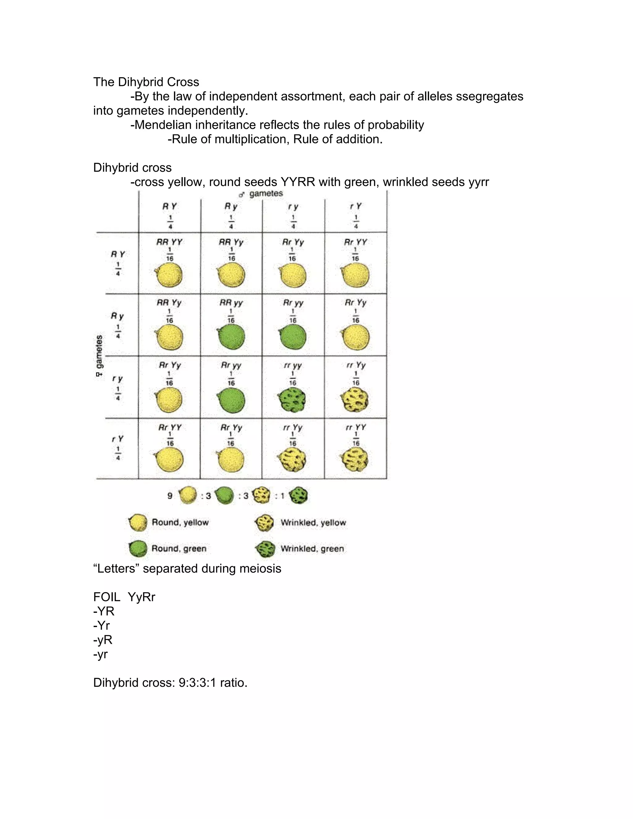 11 13 09 Notes | PDF