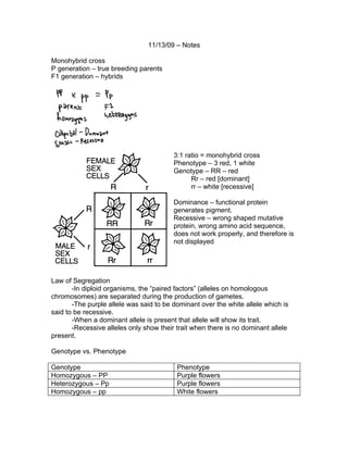 11 13 09 Notes | DOC