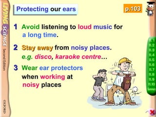 noise pollution | PPT