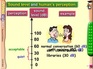 noise pollution | PPT