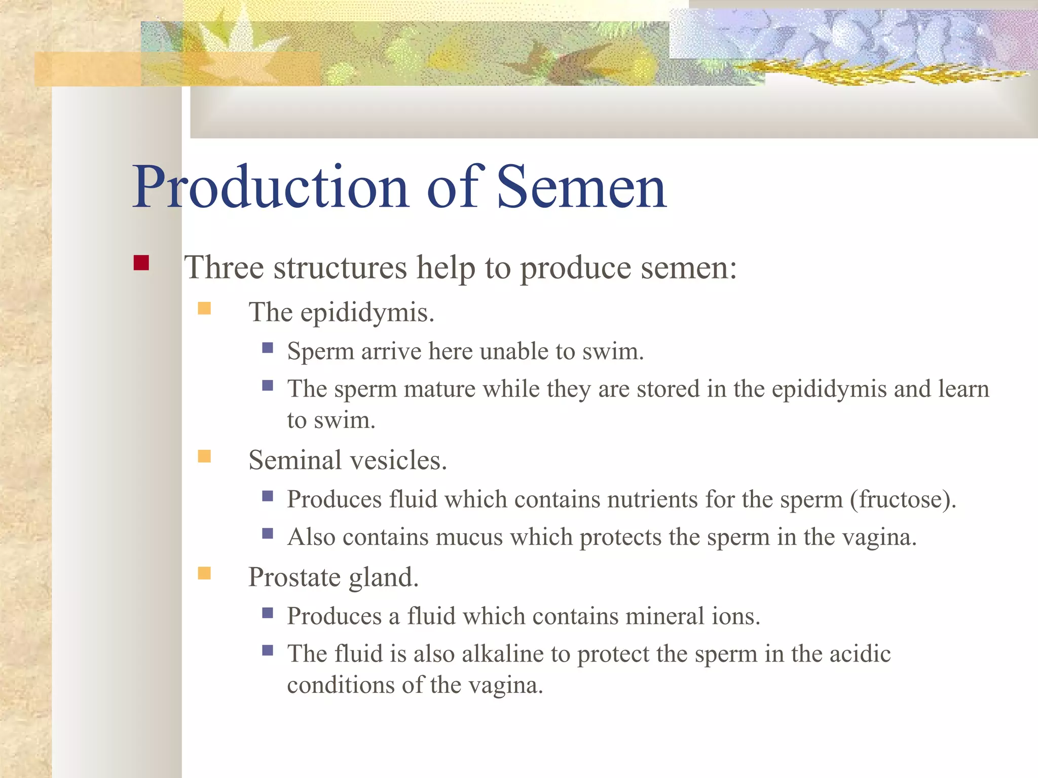 11.4 production of gametes | PPT