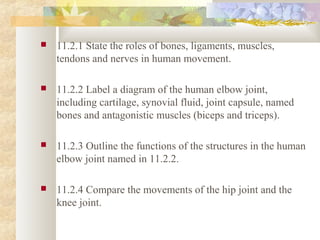 11.2 muscles and movement | PPT