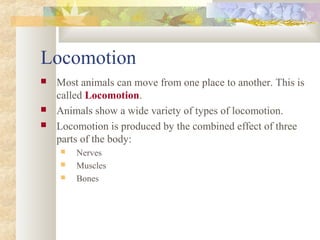 11.2 muscles and movement | PPT