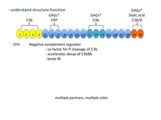 Factor H binding protein and vaccine approaches | PPTX