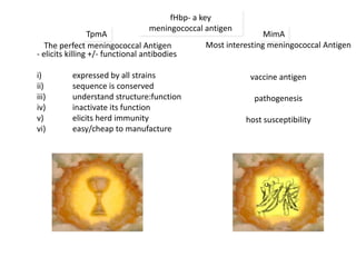 Factor H binding protein and vaccine approaches | PPTX