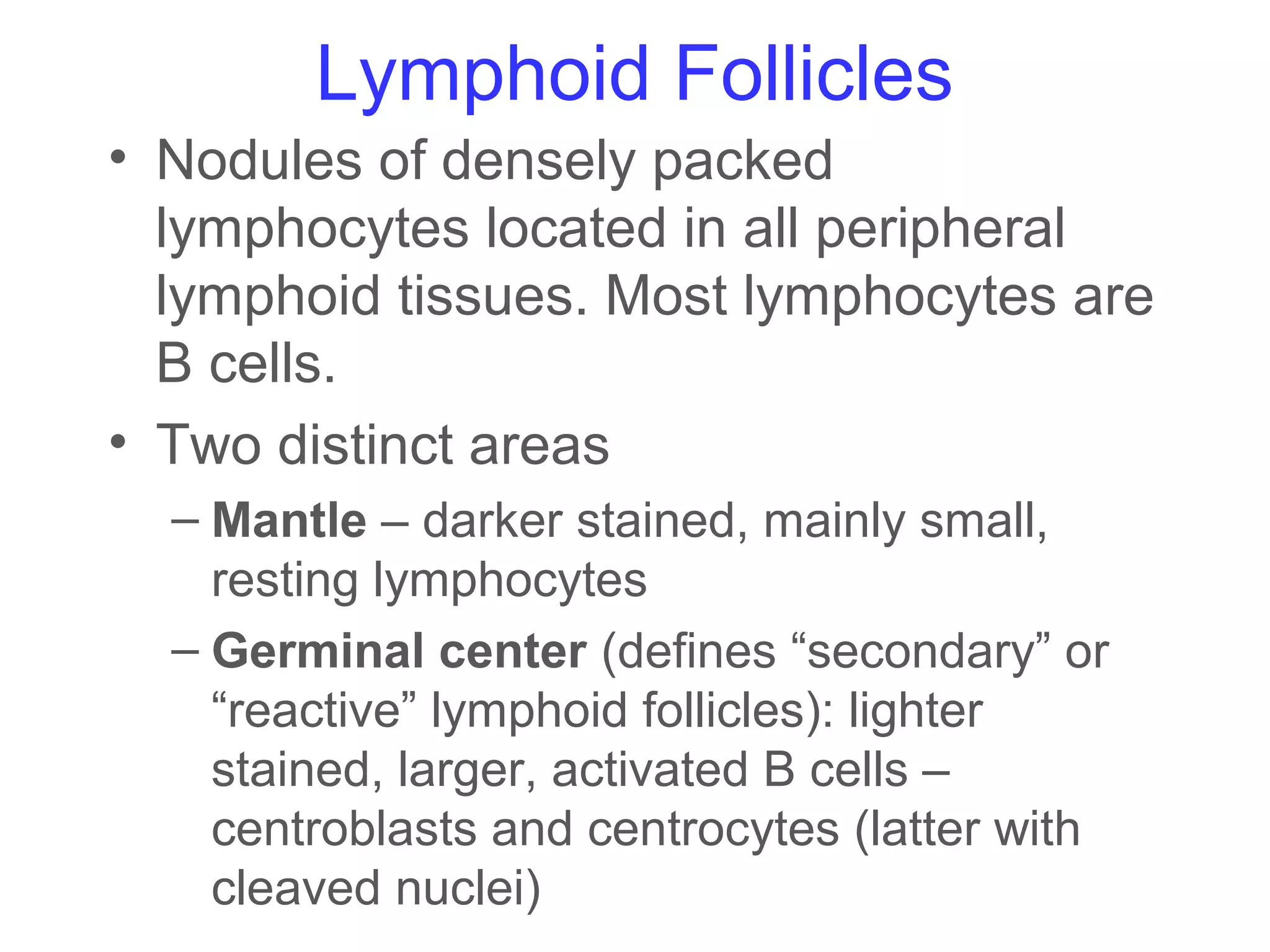 11. lymphoid dol29 | PPT