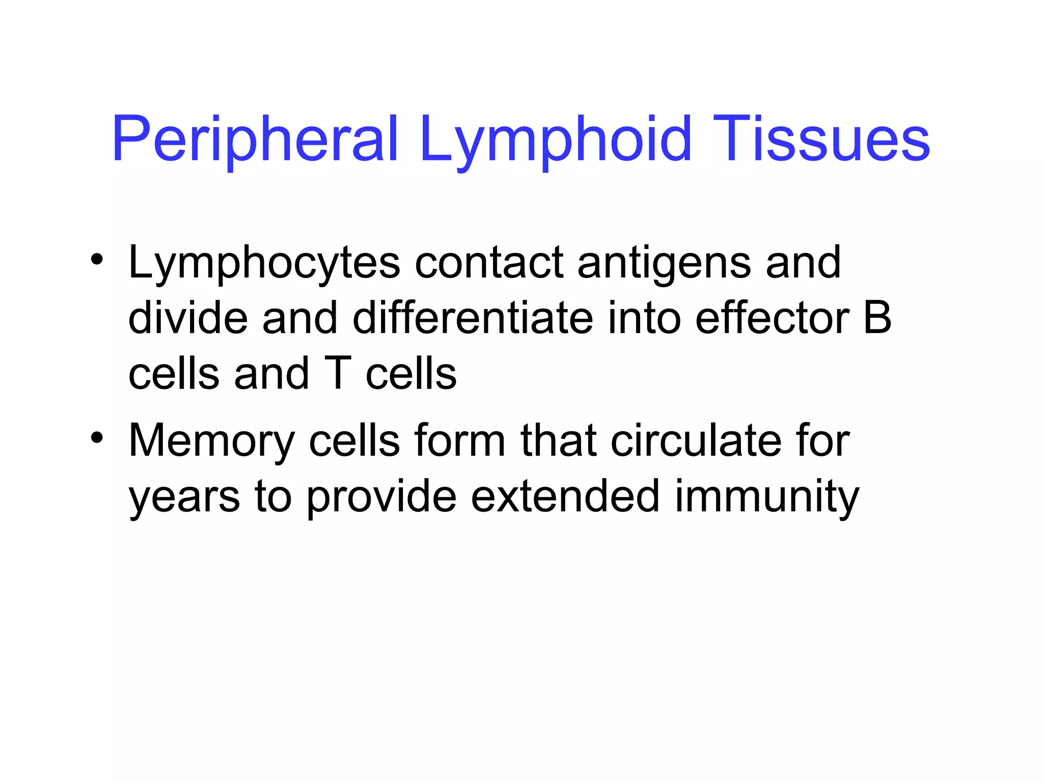 11. lymphoid dol29 | PPT