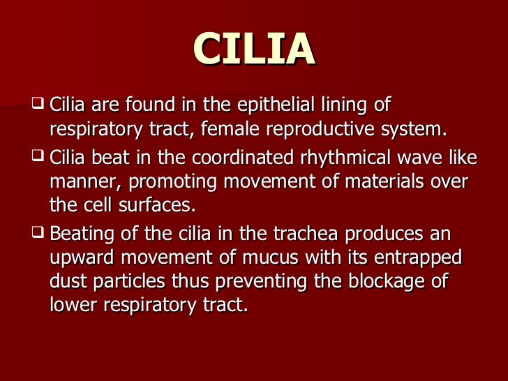 11.13 (dr. hemant kumar) cell surface modifications 11.13 (dr. hemant kumar) cell surface modifications