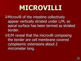 11.13 (dr. hemant kumar) cell surface modifications | PPT