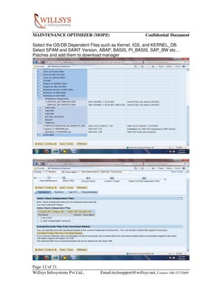 11.sap maintenance optimizer | PDF