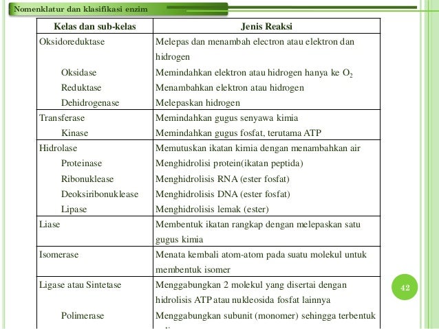 Klasifikasi Enzim - Riset