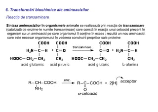 11. aminoacizi | PPT