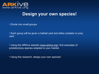 11 14yrs --adaptation_-_design_a_species_activity_-_classroom ...