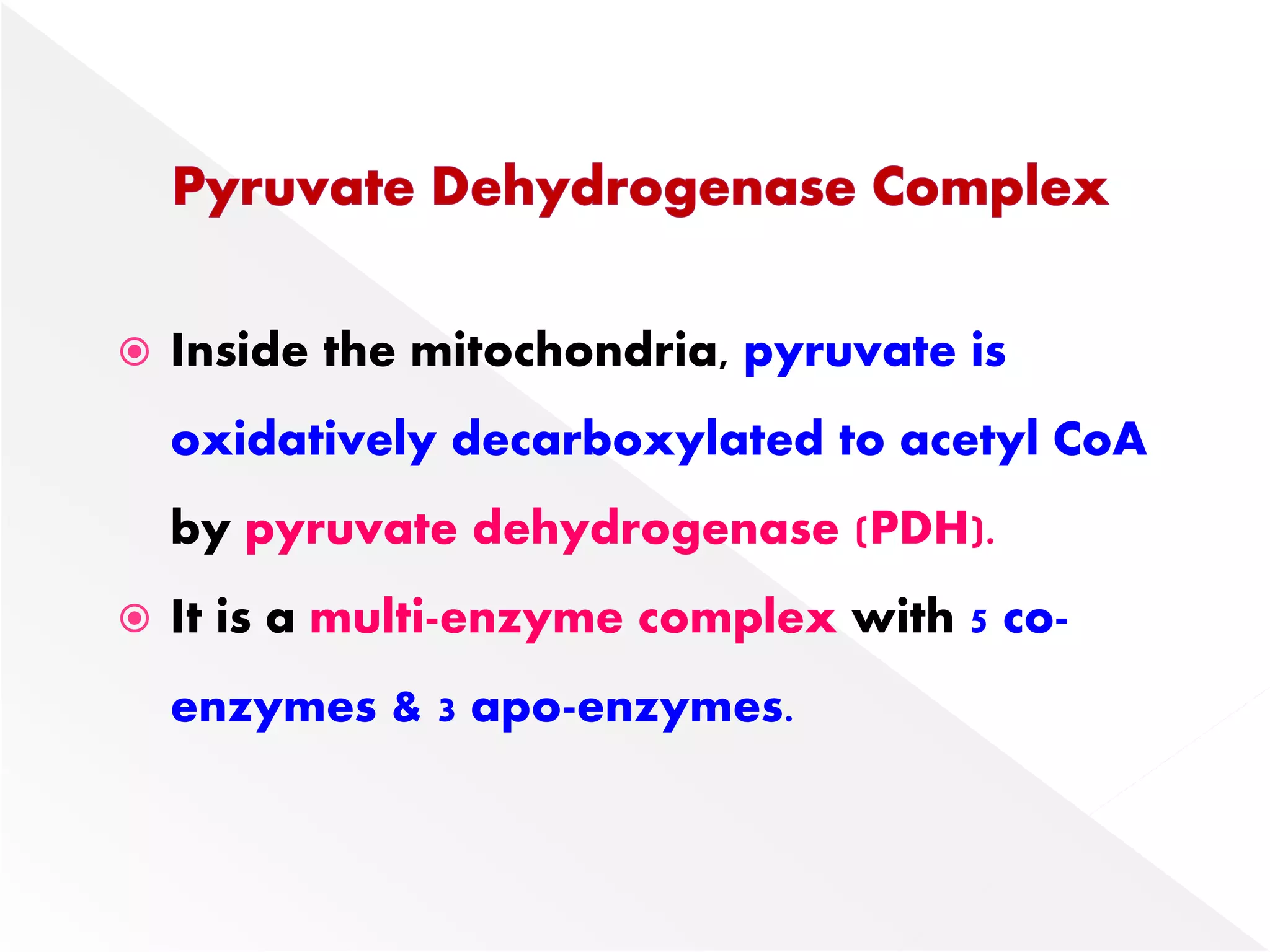 PYRUVATE DEHYDROGENASE COMPLEX (PDH-MULTI-ENZYME COMPLEX) | PPTX