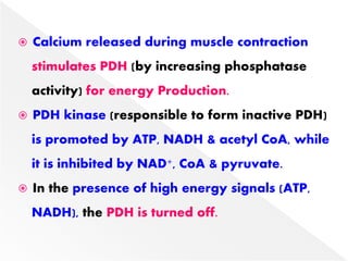 PYRUVATE DEHYDROGENASE COMPLEX (PDH-MULTI-ENZYME COMPLEX) | PPTX
