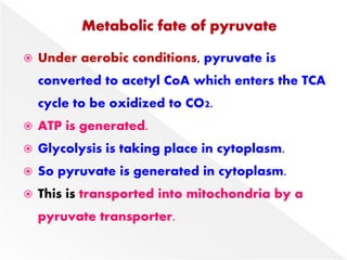 PYRUVATE DEHYDROGENASE COMPLEX (PDH-MULTI-ENZYME COMPLEX) | PPTX