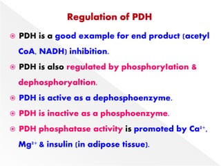 Pyruvate Dehydrogenase Complex