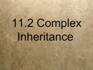 11.2 & 11.3 Complex Patterns of Inheritance | PPT