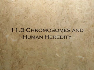 Complex Inheritance and Human Heredity | PPT