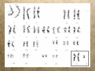 Complex Inheritance and Human Heredity | PPT