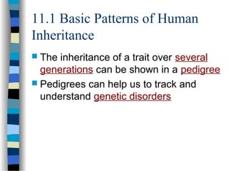 Complex Inheritance | PPT