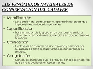 11.fenomenos cadavericos | PPTX