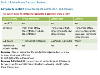 11.3 The Kidney & Osmoregulation | PDF