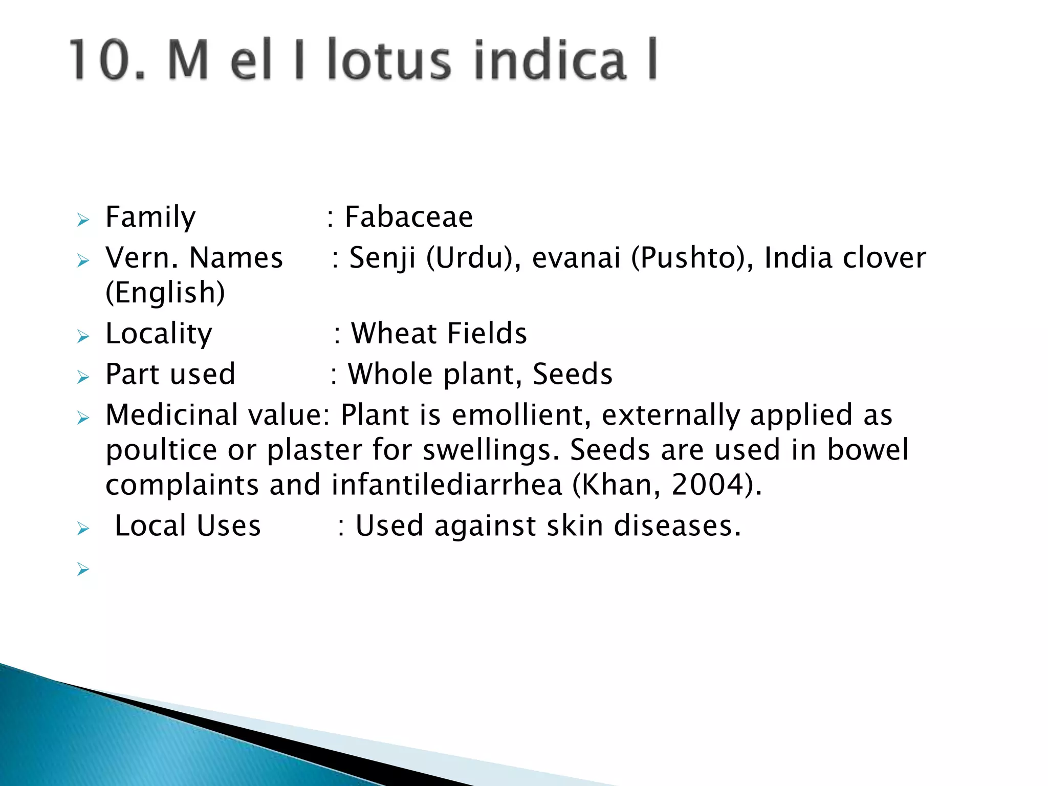 11. weeds as medicinal plants by Allah Dad Khan | PPTX