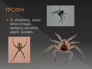 ΣΚΟΡΠΙΟΣ | PPTX