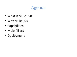 mulesoft at a glance | PPT