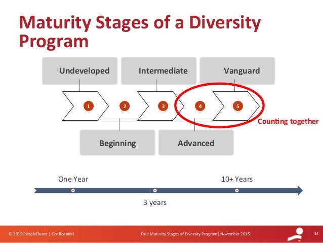 The Four Maturity Stages of Diversity and Inclusion Programs