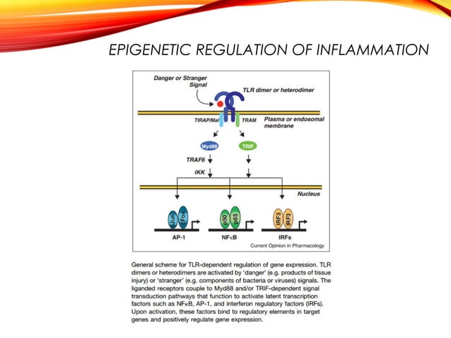 Programming of innate immune cells in diabetic conditions: Emerging epigenetic mechanisms | PPT