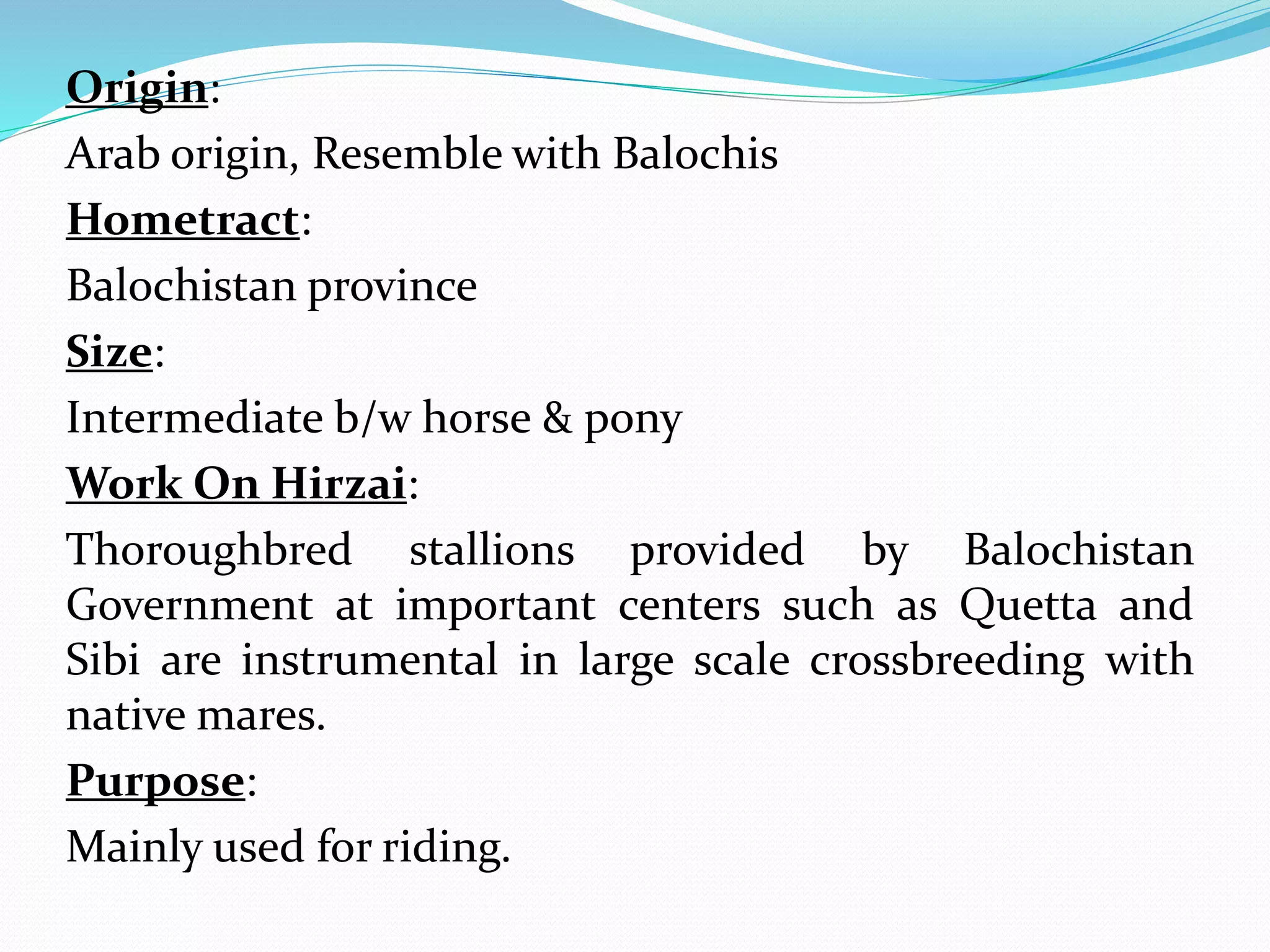 Hirzai” Horse Breed | PPTX