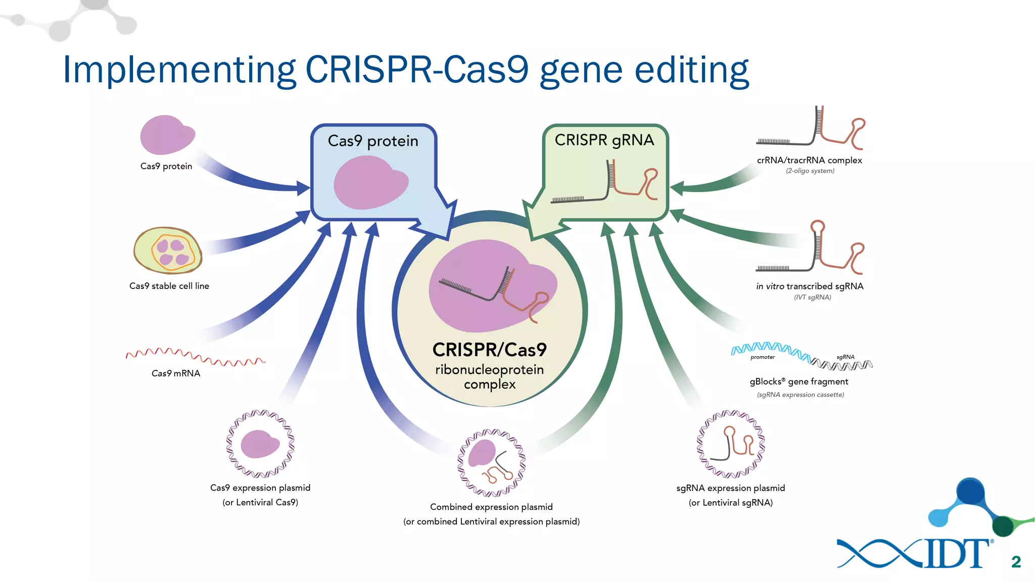 Increase efficiency of genome editing with the Alt-R™ CRISPR-Cas9 System: Design and use | PDF