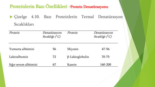 11. proteinler 4 | PPTX